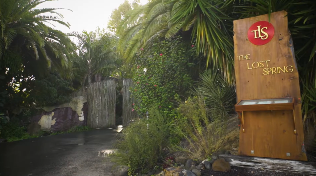 Discover The Lost Spring Whitianga: NZ's Geo-Thermal Gem - Coromandel ...